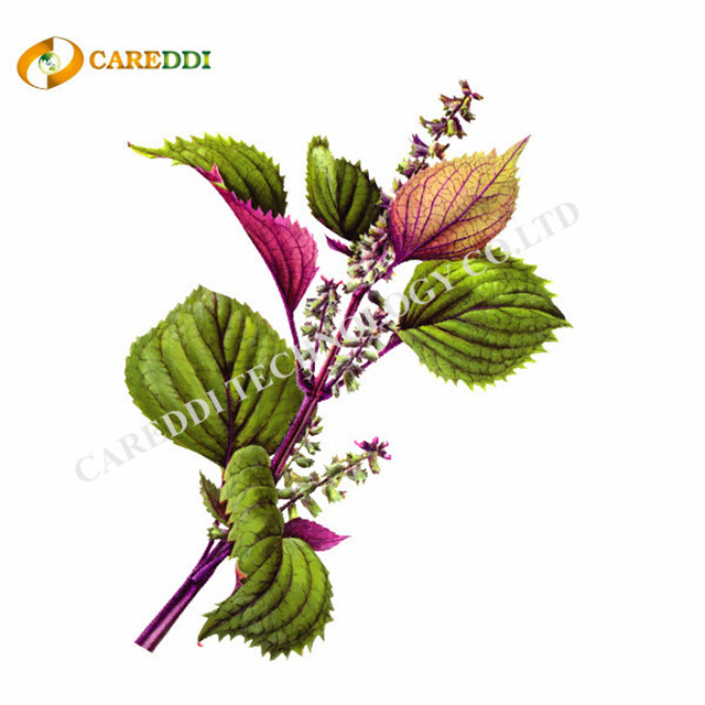 High Purity Perilla Seed Oil Supercrtical CO2 Extraction - Buy High ...